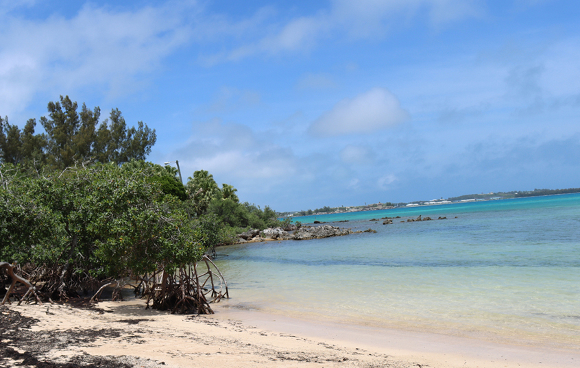 Beach at Tom Moore Jungle small – Chef Kevin Ashton